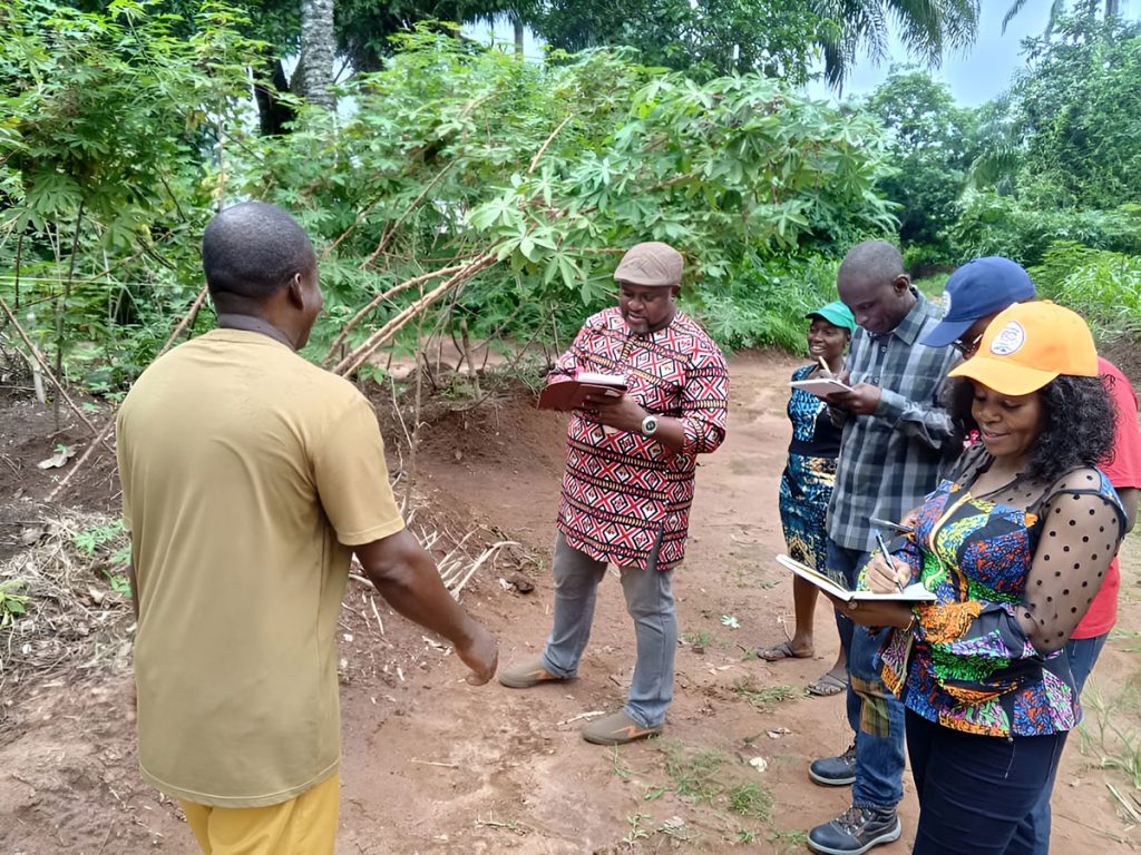 IITA and NRCRI execute maiden monitoring and inspection of tricot on-farm cassava trials with ...