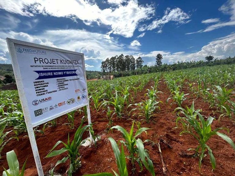 AID-I Great Lakes transforming agricultural technology dissemination in ...